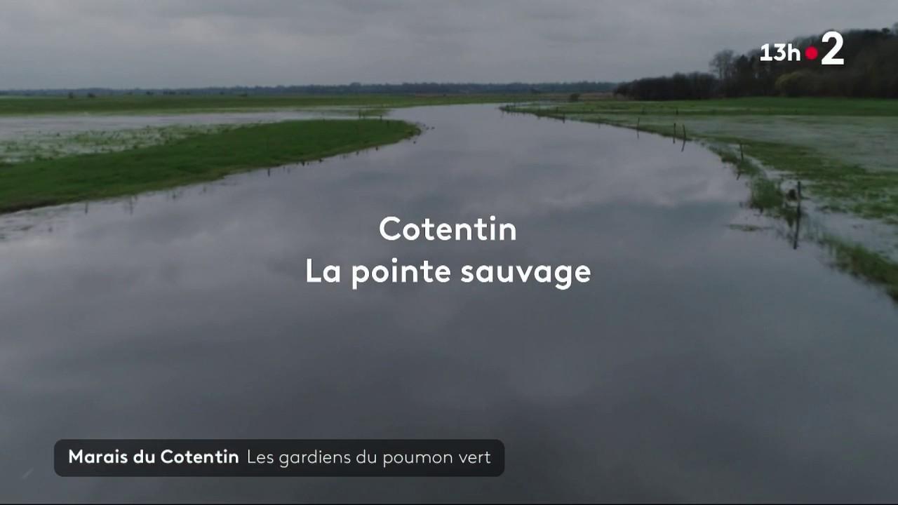 Cotentin : balade en bateau au parc naturel des marais