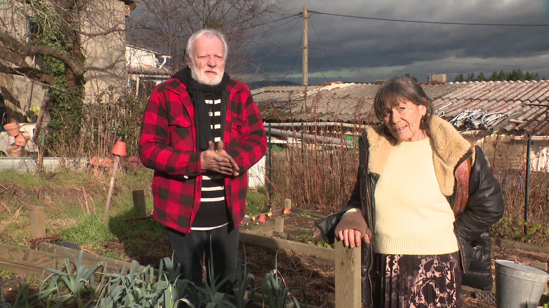 Jardiner en hiver : "Tant que février n'est pas passé, prudence