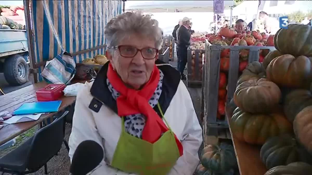Des citrouilles par milliers à Saint-Laurent en Creuse