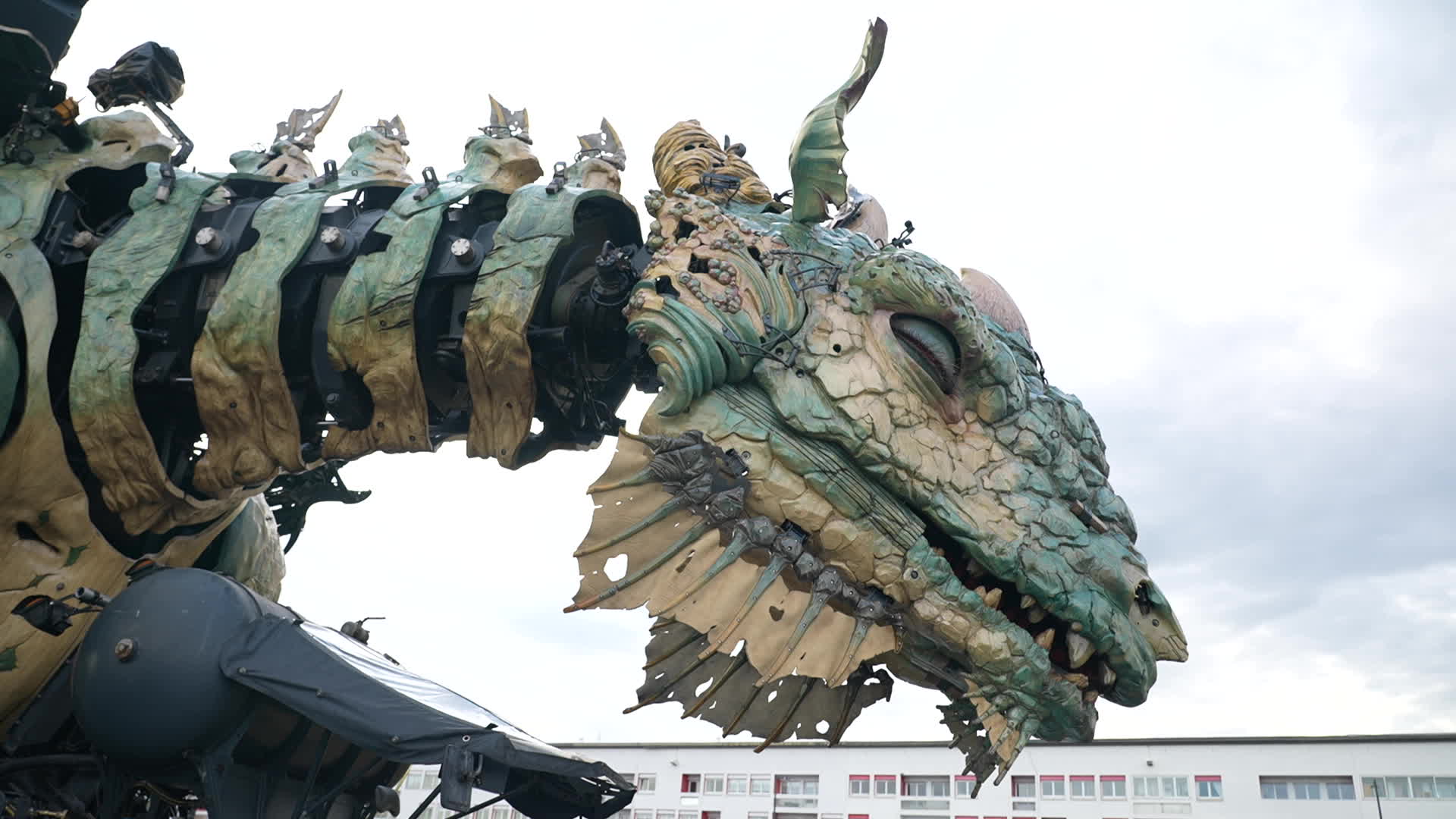 Varan de Calais : spectacle géant, tourisme de masse et impact économique