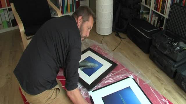 Stéphane Granzotto, le photographe des cachalots de retour à Grenoble