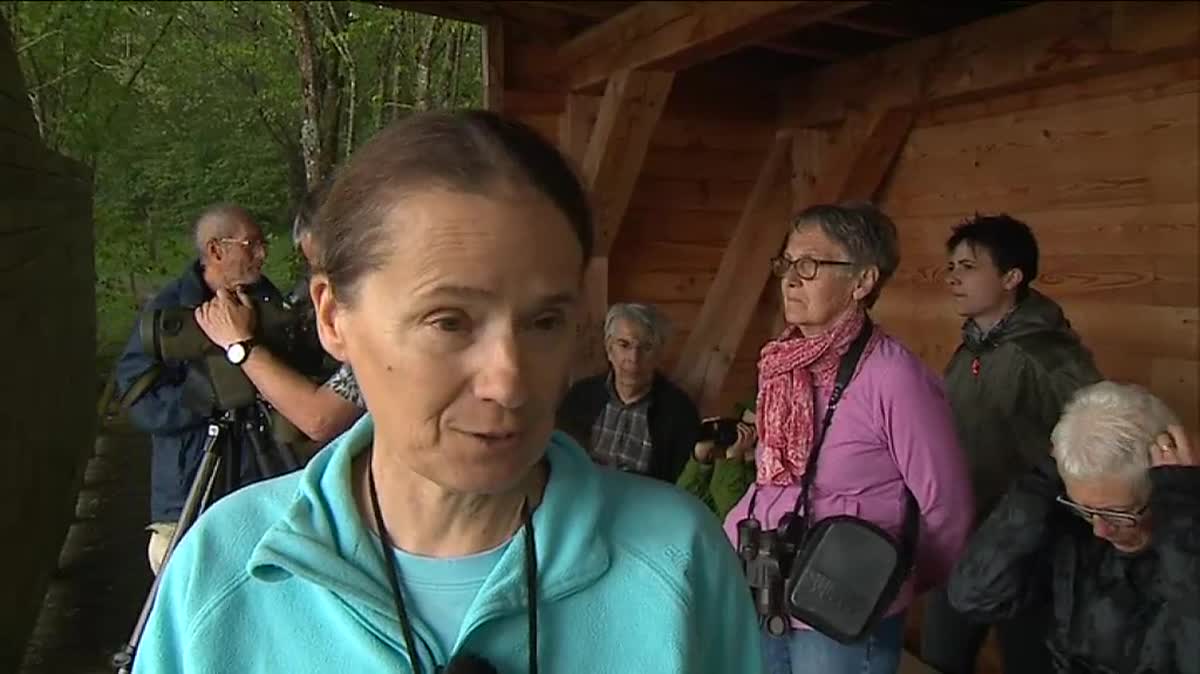 Haut-Doubs : une balade pour observer les oiseaux autour du Lac de ...