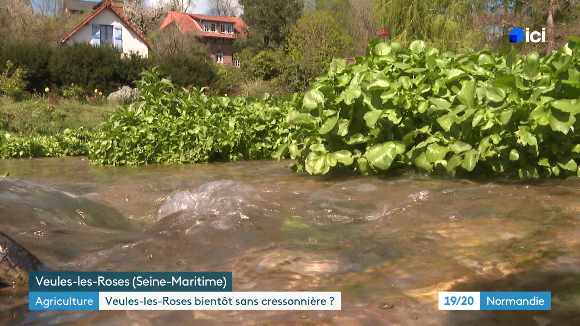 VIDÉO. "Je vide tout, je pars" : Cressonnière en détresse cherche ...