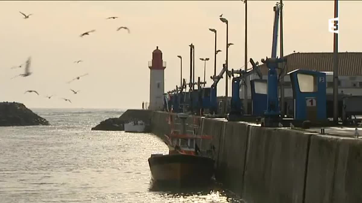 ALPC : quel avenir pour les ports du Poitou-Charentes