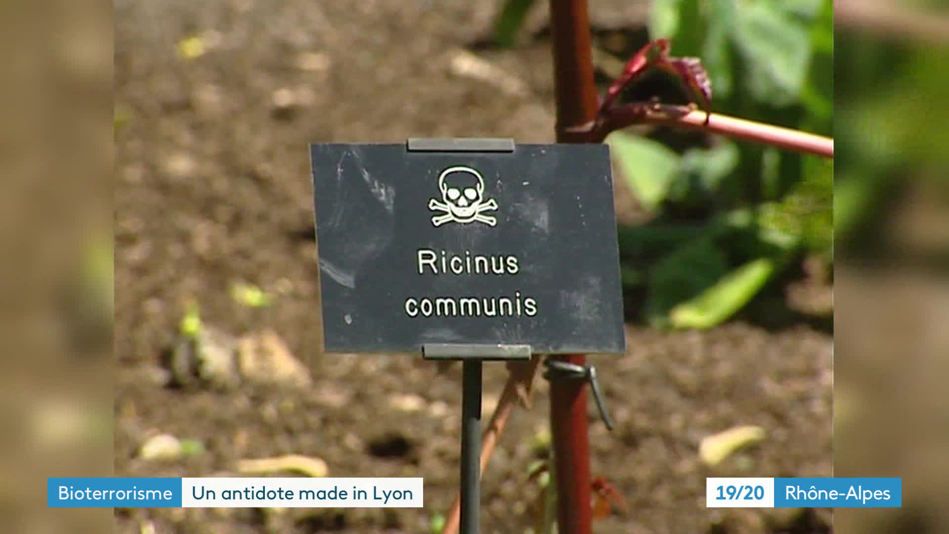 Une entreprise lyonnaise se prépare à commercialiser un antidote contre ...
