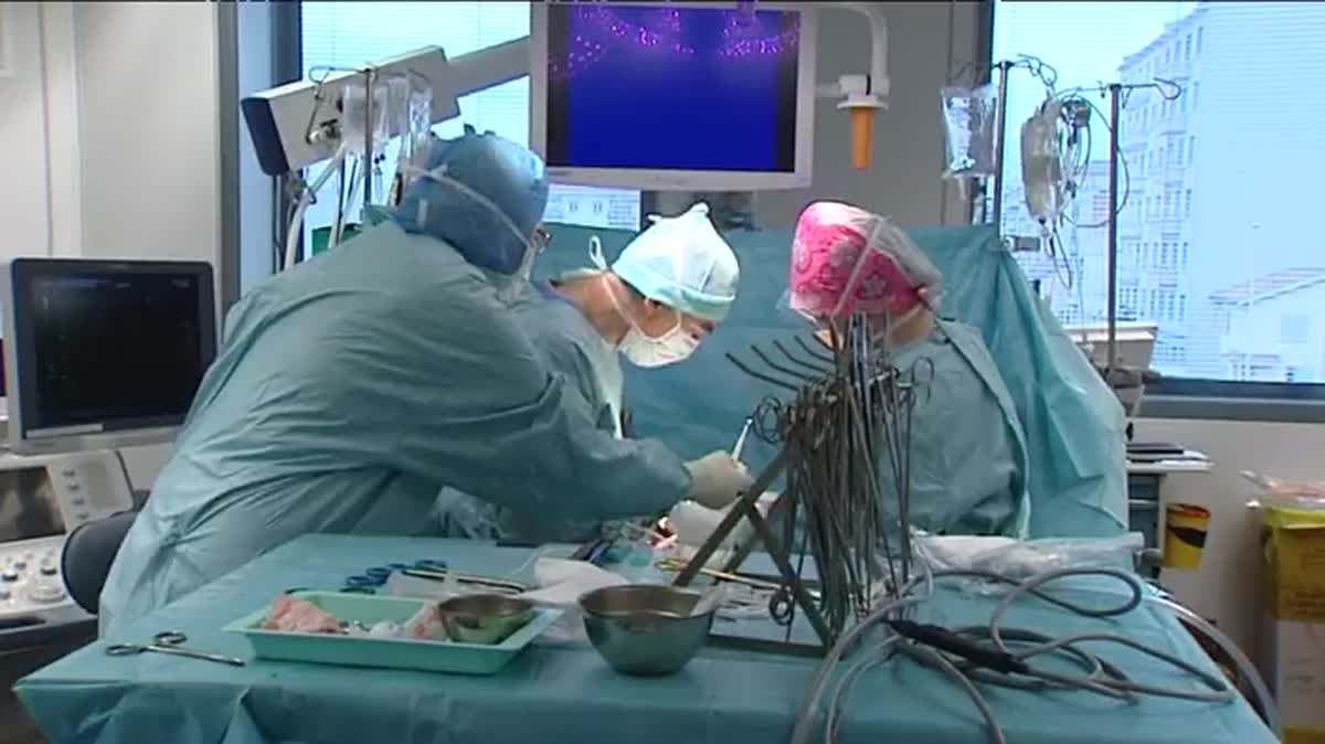 A Grenoble, Fluoptics invente des marqueurs fluorescents pour mieux ...